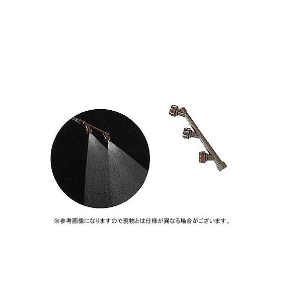 扇形の噴霧器角度約55°の霧は、ドリフトが少なく、勢いが強く到達性と均一性に優れており、果樹などの散布に最適です。※散布幅はノズルからの距離が1ｍでの数値