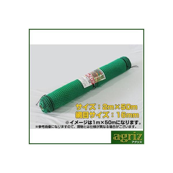 両端と中央部に補強用ロープが出ているので補強用に縛ると、たるみ無く、しっかりと設置できます。