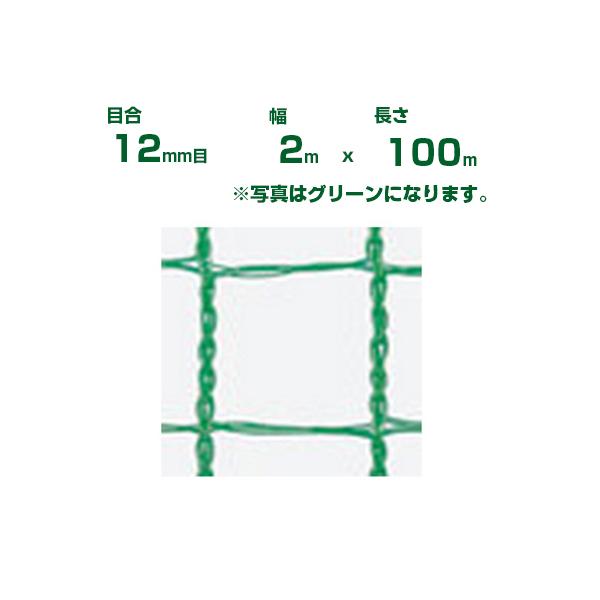 ダイオ化成 防風ネット 12mm目 黒 ダイオネット防風網 2m×100m 農業資材 園芸用品 家庭菜園 ガーデニング