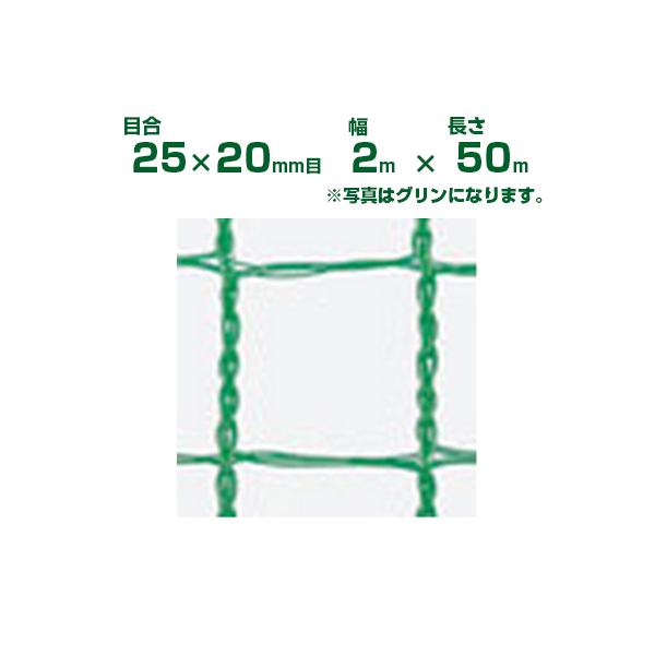 ダイオ化成 防風ネット 25×20mm目 緑 ダイオネット防風網 2m×50m 農業資材 園芸用品 家庭菜園 ガーデニング