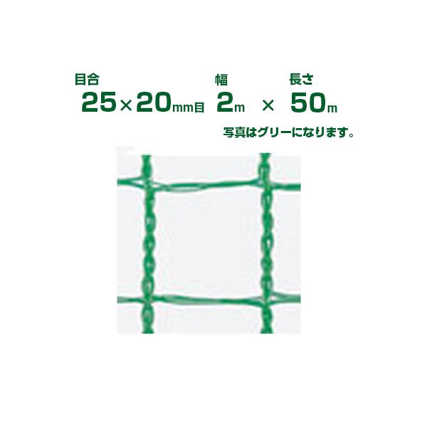 ダイオ化成 防風ネット 25×20mm目 白 ダイオネット防風網 2m×50m 農業資材 園芸用品 家庭菜園 ガーデニング