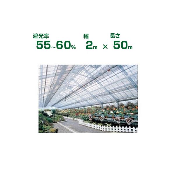ダイオ化成 遮光ネット 銀 ダイオラッセル（遮光率55〜60%）2m×50m 農業資材 園芸用品 家庭菜園 遮熱 ガーデニング