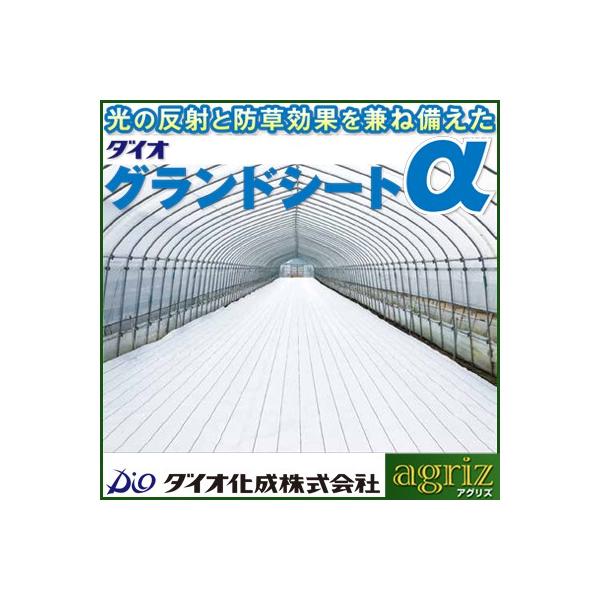 防草シート ダイオ化成 グランドシートα ホワイト 75cm X 100m （抗菌剤なし） 6本入 農業資材 ビニールハウス イチゴ トマト 植物工場 果樹園