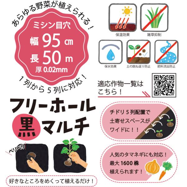 人気野菜50品目を網羅！好きな場所に植えられるので、いろいろな作物を同時に栽培できます。5列15cm株間　タマネギ、ニンジン、ホウレンソウなど1列30cm株間　キャベツ、ジャガイモ、イチゴ、サツマイモなど2列30cm株間　ダイコン、トウモロ...