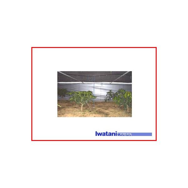 イワタニ（岩谷マテリアル） 三層シルバーポリ 保温用 0.1mm×210cm×100m 農業資材 園芸用品 家庭菜園