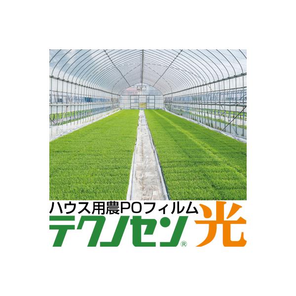 日新化学工業 農PO テクノセン光 0.15mm×185cm×100m巻 農業資材 ビニールハウス ブドウ 雨よけ