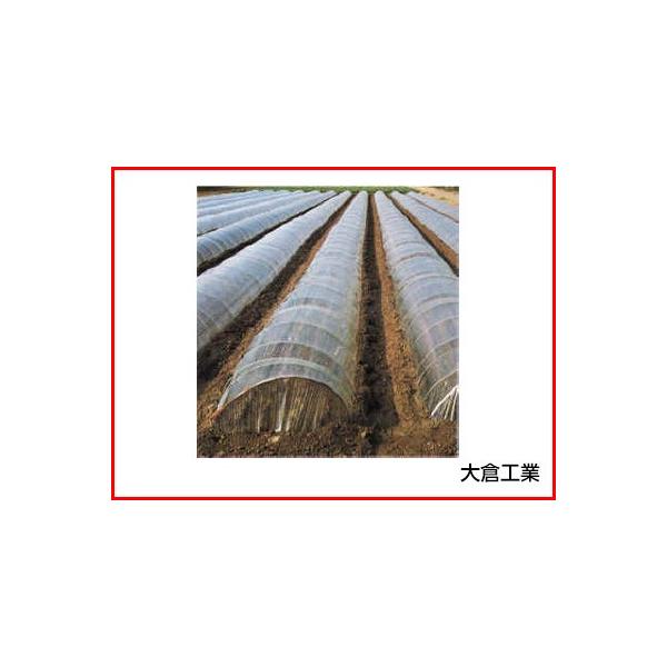 オークラ（大倉） 透明 一般用農ポリ 0.05mm×540cm×100m 1本入 農業資材 園芸用品 家庭菜園