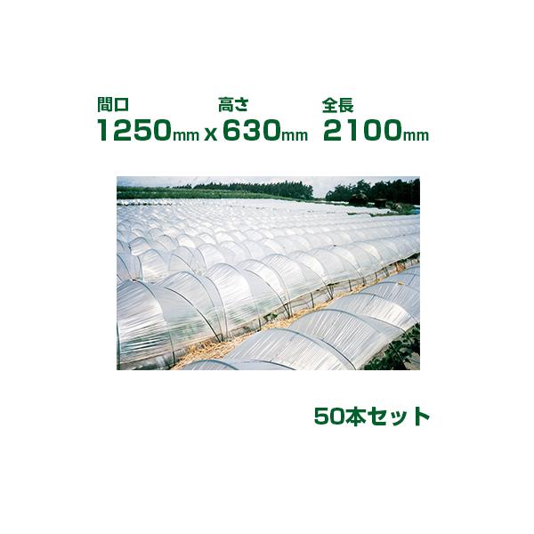 積水樹脂 セキスイ 農業用 トンネル支柱 φ11 4型 間口1250 高さ630 全長2100 50本 グリーン