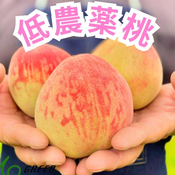 【発売日：2025年07月01日】■商品名■　和歌山の桃■品種■日川白鳳(6月上〜下旬)白鳳(6月下旬〜7月下旬)川中島白鳳(7月中〜8月上旬)※時期によって品種が変わります。品種は選べません■発送情報■　発送予定（納期情報）を必ずご確認く...