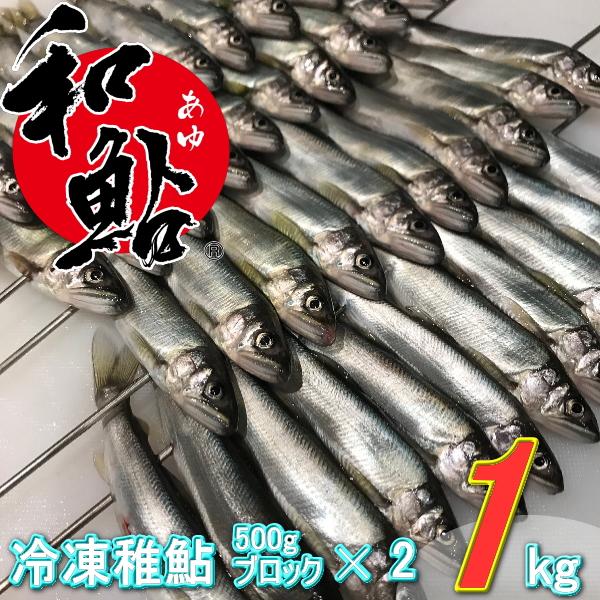 地下水で一昼夜じっくり半餌切りを行い、活〆後ただちに急速冷凍。鮎本来の鮮度と旨みを逃さず閉じ込めた稚鮎です。１尾あたり平均約10g、500gあたり50尾前後（大小・数にバラつきあり）。全国の料亭や飲食店でも利用される業務用品質で、まさにプロ...