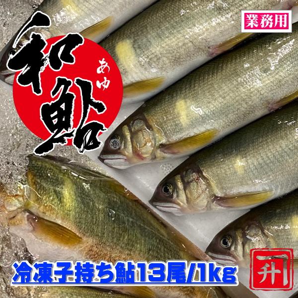 地下水での一昼夜の半餌切り、活〆後に急速冷凍。卵をたっぷり抱えた「子持ち鮎」の鮮度と旨みを、ふっくらまるごと閉じ込めた一品です。料亭・飲食店でも選ばれる業務用品質で、プロも納得の味わいをお届けします。調理シーンも豊富で、香ばしく焼き上げる ...