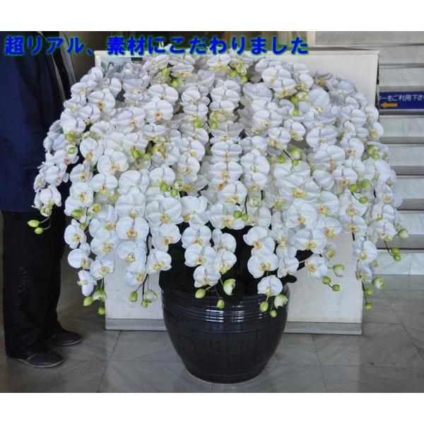 ○（カスタマーサービスデスク）＊メセージカード、祝用立札、は無料でお付けいたします。（　受付/24時）＊上記、お問合せメールでメーッセージカード、祝札、納品書、領収証ご希望の方、お問い合わせメールでお申込みください。尚、領収書等は別途郵便で...