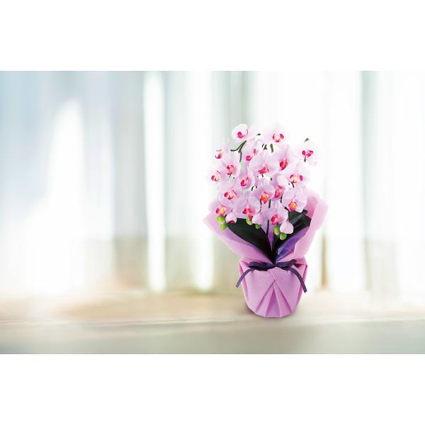 ●現品約28×43cm●ポリエステル・ポリエチレン・EVA・ポリプロピレン・不織布注意事項 鉢のラッピングは商品の一部となります。商品到着後、鉢のラッピングは外さずにご鑑賞ください。※仕入れ状況により花材・ラッピング・鉢の形状などが変更とな...