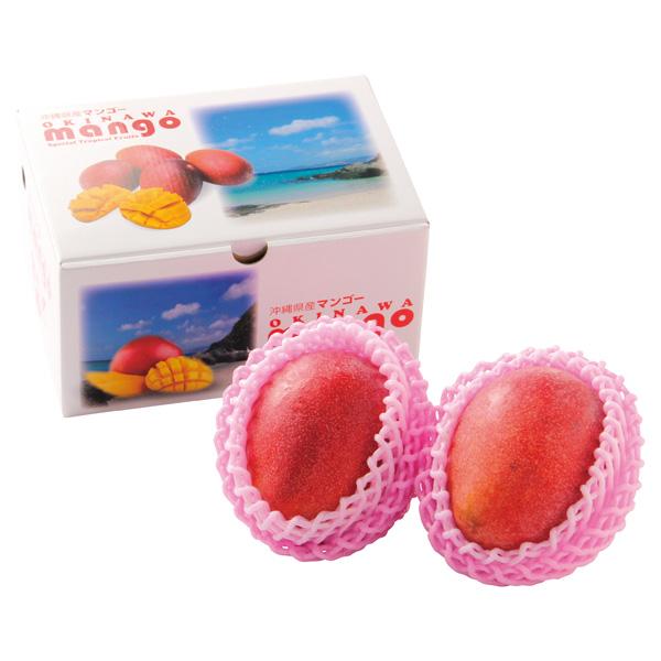 出荷日：7月15日から7月31日●セット内容：約320g 2玉入●冷蔵便●のし下名入れ不可●二重包装不可●着日指定不可