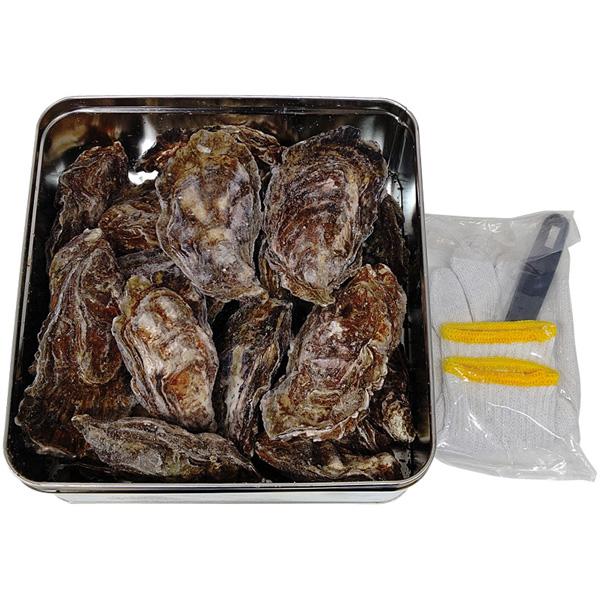 お届け期間：8/7まで●セット内容：殻付かき1.6kg（12〜20個）※軍手・ナイフ・調理リーフレット付●賞味期間：冷凍1年●箱入重量：約2.4kg●二重包装不可●のし記名不可広島かきの身太りが最も良くなる時期に水揚げされた殻付かきを鮮度・...