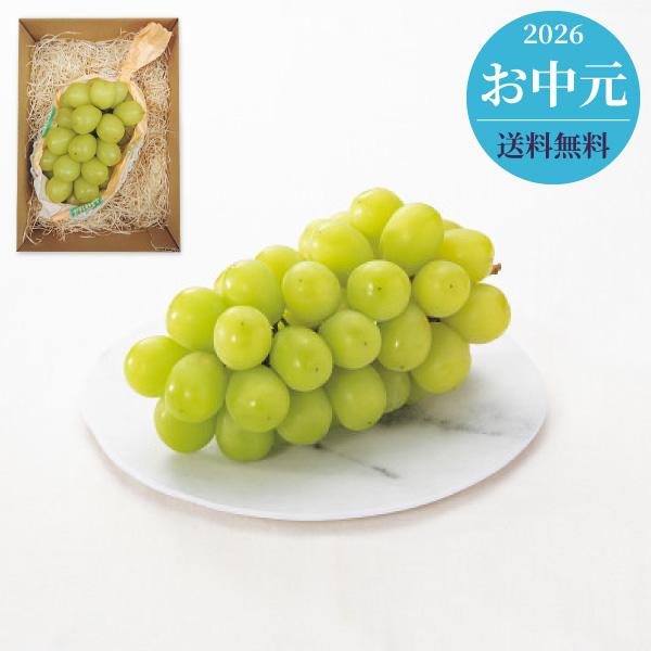 お届け日：7/15頃から8/12頃●シャインマスカット（山梨県または長野県産）1房（450g）●原産国：日本●化粧箱入●箱サイズ：約16.5×24.5×13cm●箱重量：約900g●梱包詳細：商品→外箱→熨斗（シール）→送り状●包装：包装な...