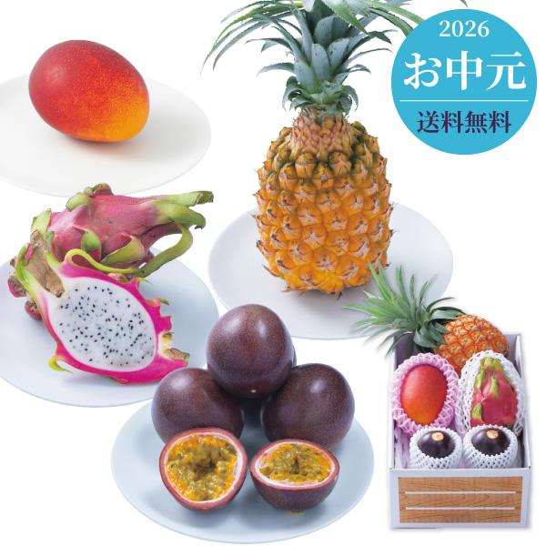 お届け日：7/3頃から8/12頃●宮崎又は沖縄産完熟マンゴー250g×1玉、沖縄産パイン（スナックパイン又はピーチパイン）700g×1玉、沖縄産パッションフルーツ80g×2玉、沖縄産ドラゴンフルーツ250g×1玉●原産国：日本●化粧箱入●箱...