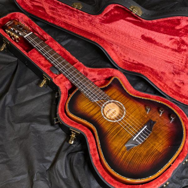 【1本限り特価！】Bromo Guitars BEN2C 3ts ブロモ