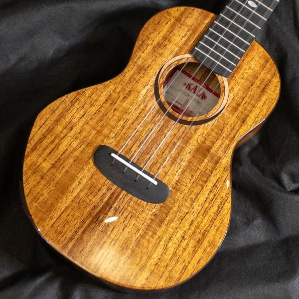 KALA Contour All Solid Gloss Acacia Tenor Ukulele カラ ウクレレ テナーサイズ