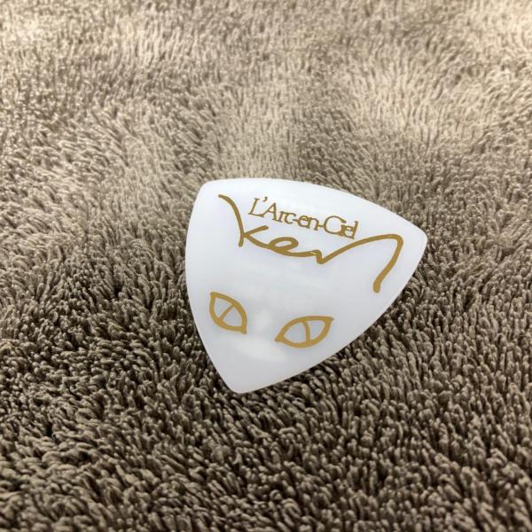 【10枚セット】Fernandes フェルナンデス KEN ピック L'Arc-en-ciel デットストック品