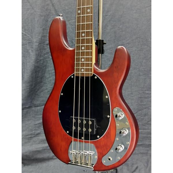 Sterling By MUSICMAN SUB RAY4 WS R1 スターリン STINGRAY Walnut Satin