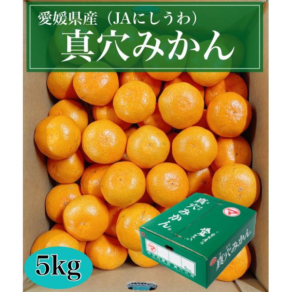 【発売日：2025年11月17日】【数量限定販売！11月下旬より出荷開始予定】真穴みかんの特徴は、他のみかんよりも皮が薄く、食感がやわらかいことです！また、過去には天皇杯など様々な賞を受賞歴のある、100年を超える歴史あるみかんです！※ご家...