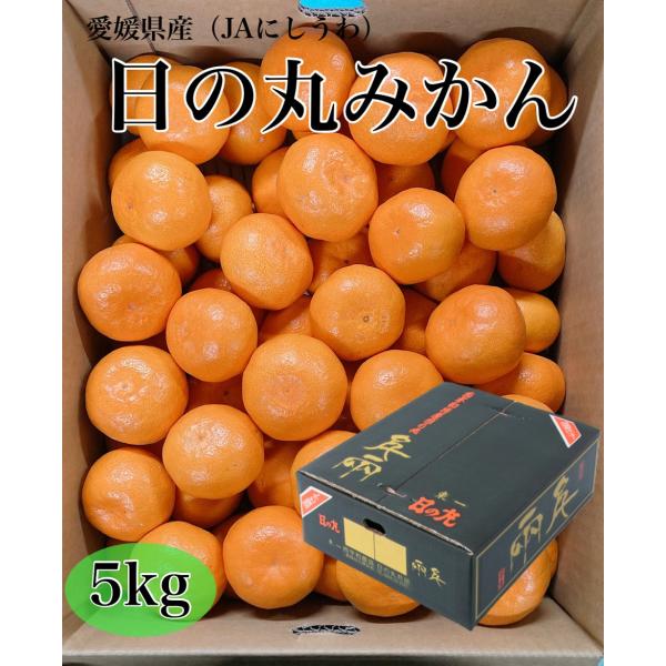 【発売日：2025年11月10日】【2025年11月中旬以降出荷予定です。】※青果物のため出荷の時期が前後する可能性がございます。日の丸みかんは、愛媛県八幡浜市の海岸沿いにて、太陽の光をたっぷり浴びたみかんです！海岸沿いの段々畑で生産するこ...
