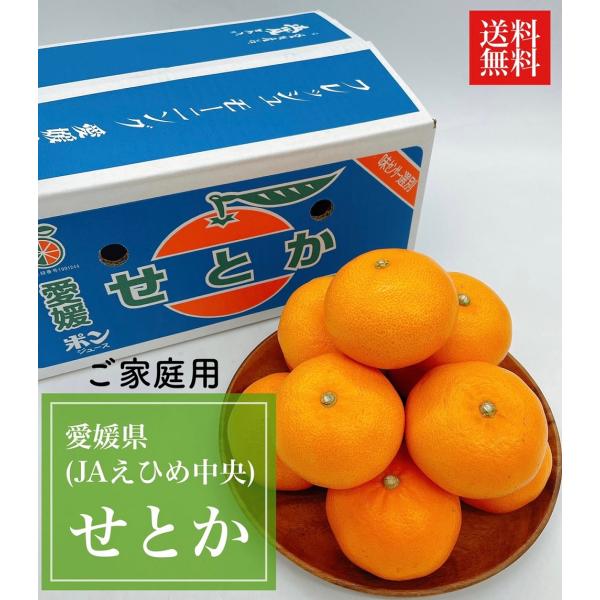 【発売日：2026年01月19日】【2026年1月19日以降出荷開始予定です。】※青果物のため、天候等により出荷開始日が前後する可能性がございます。「せとか」は果皮が薄くなめらかで、内袋が柔らかく種もほとんどないので、そのまま食べられます。...