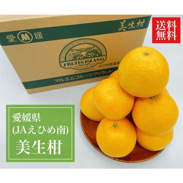 美生柑は文旦系の晩生柑(３月〜6月が旬)です。外観が美しく果汁たっぷり、爽やかな甘みと上品な香りが特徴です。皮をむいて「甘夏」のように、または、輪切りにして「グレープフルーツ」のようにスプーンですくってお召し上がりください。※当店は松山市場...