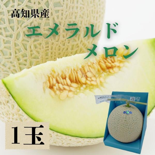 温暖な気候を活かしたハウスの中で、「夜須のエメラルドメロン」は世界的な技術による栽培方法で、1本の苗にたった一玉だけしかつくりません。最高の糖度を引き出すために水分を微妙に調整しながら育てています。高い技術とこだわりを持って大切に育てられた...