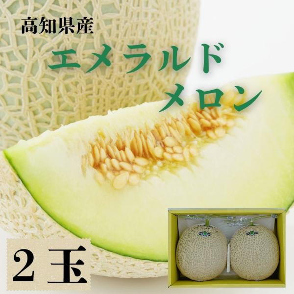 温暖な気候を活かしたハウスの中で、「夜須のエメラルドメロン」は世界的な技術による栽培方法で、1本の苗にたった一玉だけしかつくりません。最高の糖度を引き出すために水分を微妙に調整しながら育てています。高い技術とこだわりを持って大切に育てられた...