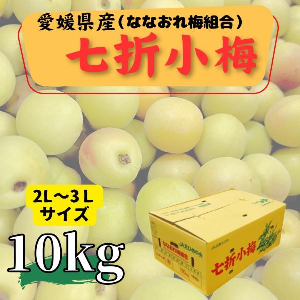 【発売日：2026年05月28日】七折小梅は愛媛県砥部町の地域特産ブランド品です。小梅としては大粒ですが、種は小さく、皮・果肉共に柔らかいため舌ざわりの良い特徴があります。糖度も高く、香りも良好なため様々な食べ方を楽しんでいただける品種とな...