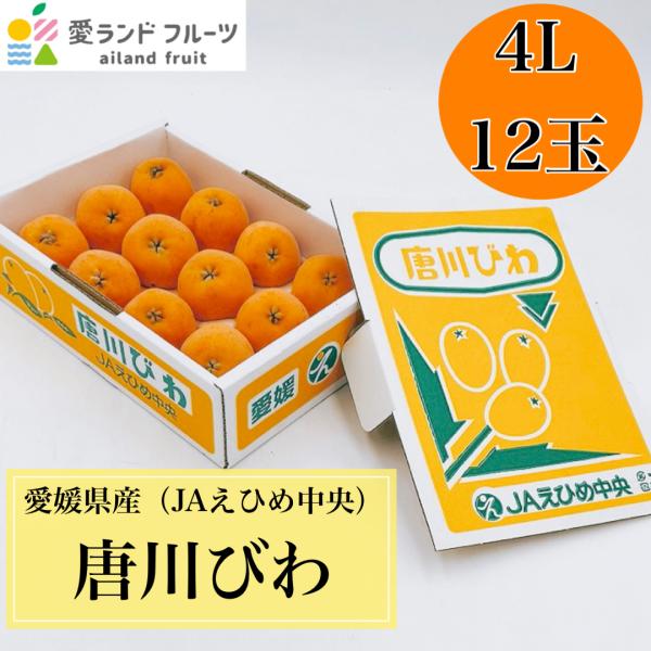 【発売日：2026年05月25日】【2026年5月下旬頃出荷開始予定】※青果物のため生育状況の兼ね合いで出荷時期が前後する場合がございます。唐川びわは、愛媛県伊予市で生産されており、2016年に「ますます、いよし。ブランド」として認定された...