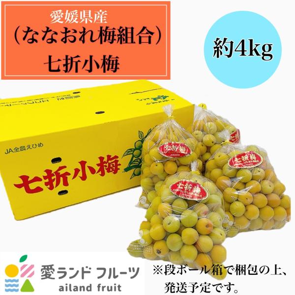 【発売日：2026年05月28日】七折小梅は愛媛県砥部町の地域特産ブランド品です。小梅としては大粒ですが、種は小さく、皮・果肉共に柔らかいため舌ざわりの良い特徴があります。糖度も高く、香りも良好なため様々な食べ方を楽しんでいただける品種とな...