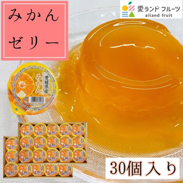 【発売日：2025年01月05日】愛媛県産のみかんの果実と果汁をたっぷりと閉じ込めたゼリーが大容量！30個入っています。さっぱりしているのでペロリとお召し上がりいただけます。冷やしてお楽しみいただくのがおすすめです！【商品情報】内容量：30...
