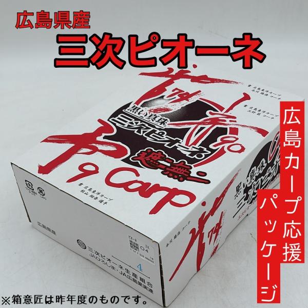 【発売日：2026年08月27日】8月下旬以降出荷の予定となっております。広島県で生産されている『三次ピオーネ』の限定パッケージを約２kg（4〜5房入り）でご用意いたしました。三次ピオーネは『黒い真珠』と称され、口の中でじゅわ〜と広がるたっ...