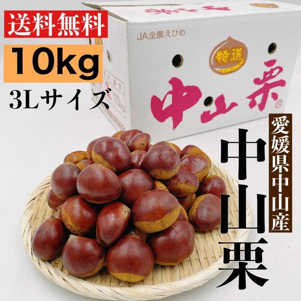 【発売日：2026年09月30日】【2026年9月下旬以降出荷予定】中山栗は、愛媛県のブランド栗です。中山町は山間部に面しているため、水はけがよく昼夜の温度差が大きいため、栗の栽培に適した産地となっております。そこで育つ栗は大粒で、濃厚な甘...