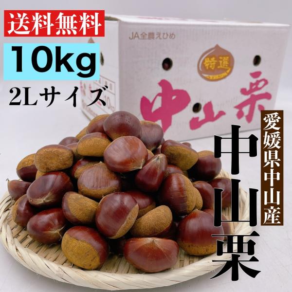 【発売日：2026年09月26日】【2026年9月下旬以降出荷予定】※生育状況により出荷日が前後する場合がございます。中山栗は、愛媛県のブランド栗です。中山町は山間部に面しているため、水はけがよく昼夜の温度差が大きいため、栗の栽培に適した産...