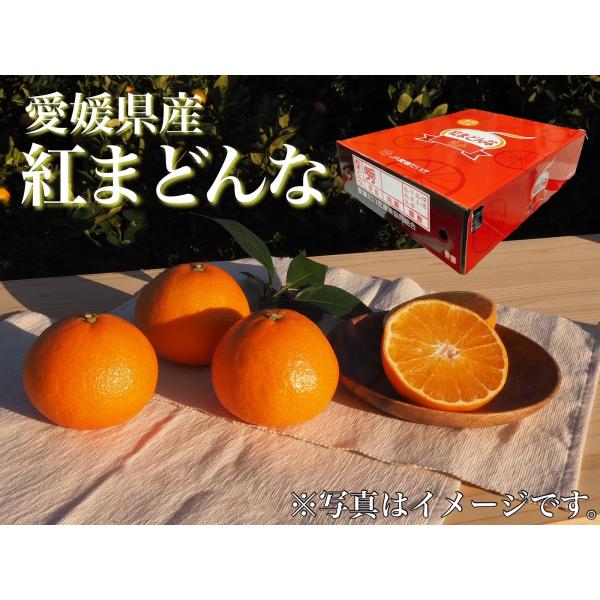 「紅まどんな」はJA全農えひめの登録商標です。愛媛県のオリジナル品種で、一定の品質基準をクリアしたもののみが「紅まどんな」として出荷されています！愛媛県最高級品種の柑橘をぜひご賞味ください！「紅まどんな」は【赤秀】＞【青秀】とランク付けされ...