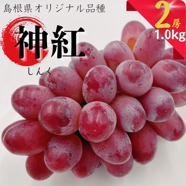 【2026年8月上旬頃より出荷開始予定です。】※青果物のため出荷時期が前後する可能性があります。※画像はイメージです。資材のデザイン等が変更になる場合もございます。「神紅」は2018年に公開されたシャインマスカットとベニバラードを掛け合わせ...
