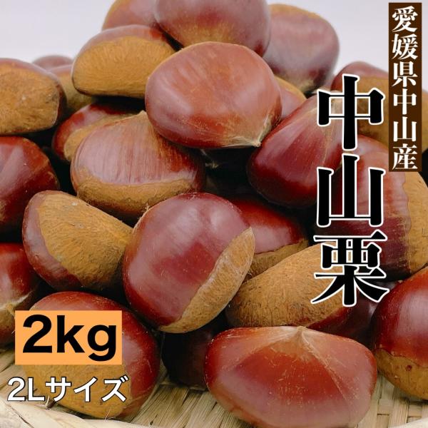【発売日：2026年09月26日】【2026年9月下旬より出荷開始予定】※青果物のため生育状況により出荷日が前後する可能性がございます。中山栗は、愛媛県のブランド栗です。中山町は山間部に面しているため、水はけがよく昼夜の温度差が大きいため、...