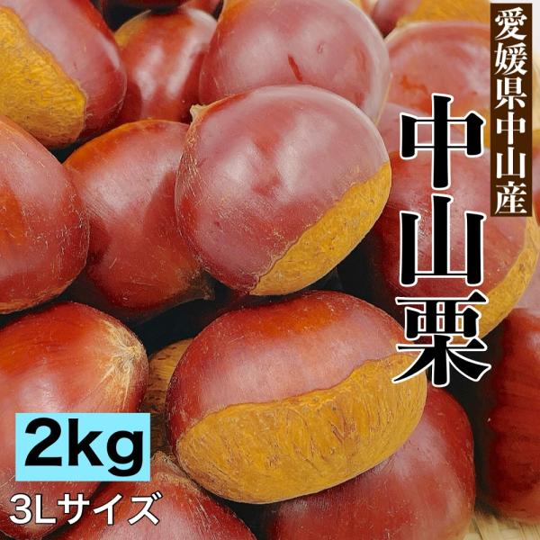 【発売日：2026年09月30日】【2026年9月下旬以降出荷予定】中山栗は、愛媛県のブランド栗です。中山町は山間部に面しているため、水はけがよく昼夜の温度差が大きいため、栗の栽培に適した産地となっております。そこで育つ栗は大粒で、濃厚な甘...