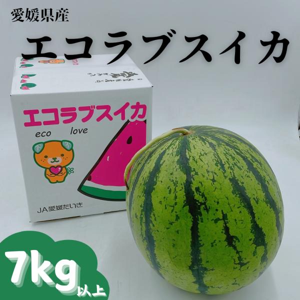 【発売日：2026年06月01日】【6月上旬から順次出荷予定】※生育状態によって時期が前後する可能性があります。一級河川「肱川」流域の肥沃な土壌と盆地特有の寒暖の差を生かしたスイカ栽培が大洲市五郎地区を中心に行われています。 「エコラブ」は...