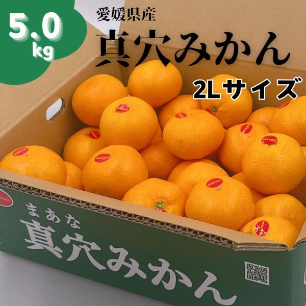【発売日：2025年11月17日】真穴みかんの特徴は、他のみかんよりも皮が薄く、食感がやわらかいことです！また、過去には天皇杯など様々な賞を受賞歴のある、100年を超える歴史あるみかんです！※ご家庭品につき本商品の熨斗対応はいたしかねます。...