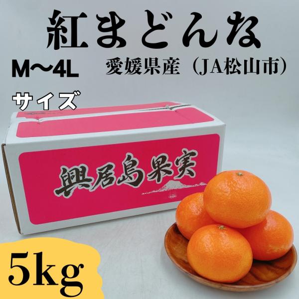 口の中いっぱいに広がる特徴的なゼリーのようなプルプル食感！とあま〜い果汁、そしてさわやかな香りが特徴です。ご家庭用につき、多変形果（先がとがった商品等）や多少の傷や小玉中心で大きさにばらつきがありますがあらかじめご了承ください。【商品情報】...