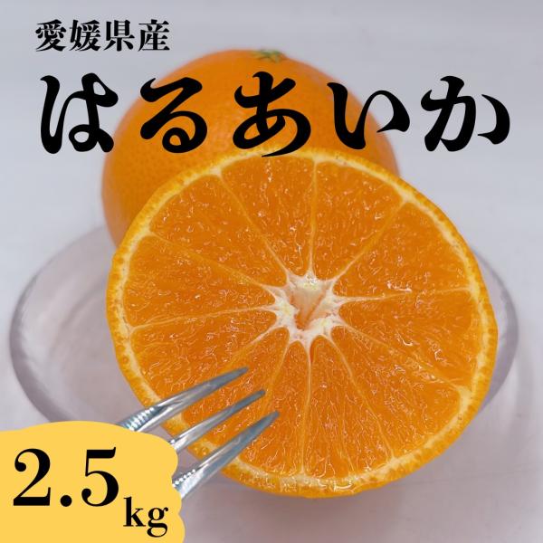 【発売日：2026年03月02日】品種名は「愛媛果試第４８号」で「愛媛果試第２８号」と「甘平」の間に生まれた品種です。薄く、やわらかい外皮と薄皮を持ち、果肉はとろけるようなゼリーの食感です。一定基準をクリアしたものが「紅プリンセス」（愛媛県...