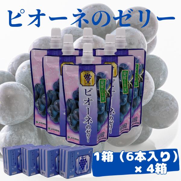 愛媛県産の「ピオーネ」をゼリ−にしました。濃厚な甘さと適度な酸みをお楽しみいただけます。これからの暑い季節におすすめのさっぱりとした味に仕上がっています。大容量　4箱（24パック）のセットです♪（1箱6パック入り）贈り物やお土産以外にご家庭...