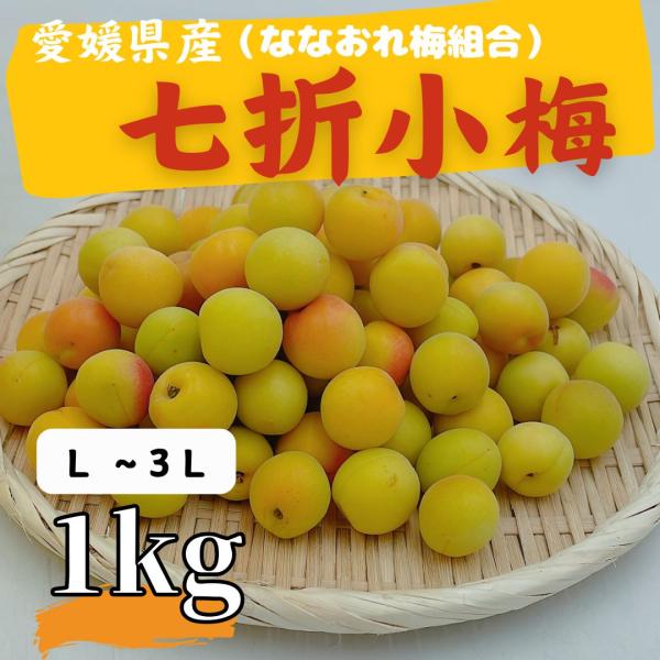 【発売日：2026年05月28日】七折小梅は愛媛県砥部町の地域特産ブランド品です。小梅としては大粒ですが、種は小さく、皮・果肉共に柔らかいため舌ざわりの良い特徴があります。糖度も高く、香りも良好なため様々な食べ方を楽しんでいただける品種とな...