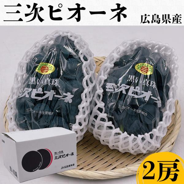 【発売日：2026年08月17日】【次回出荷は8月17日以降となります。】広島県で生産されている『三次ピオーネ』を約１kg（2房入り）でご用意いたしました。三次ピオーネは『黒い真珠』と称され、口の中でじゅわ〜と広がるたっぷりな果汁は、上品な...