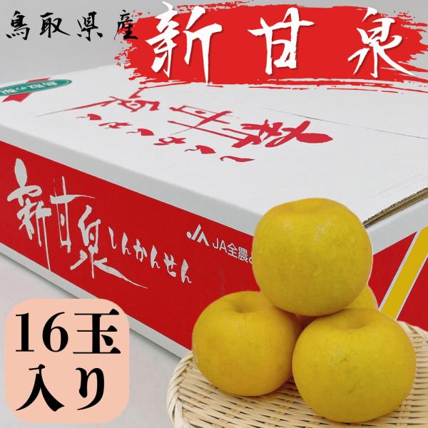 【発売日：2026年08月29日】【2026年8月下旬以降出荷予定】鳥取県のオリジナル品種の「新甘泉」は平成20年に登場した新品種です。「筑水」に「おさ二十世紀」を交配した赤梨の品種となります。濃厚な甘みが最大の特徴で、食感もしゃりしゃりと...